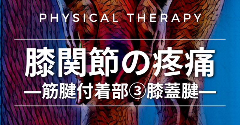 膝関節の疼痛 筋腱付着部③膝蓋腱 理学療法士・作業療法士・言語聴覚士の求人、セミナー情報なら【post】