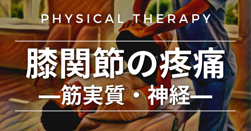 膝関節の疼痛 筋実質・神経 理学療法士・作業療法士・言語聴覚士の求人、セミナー情報なら【post】