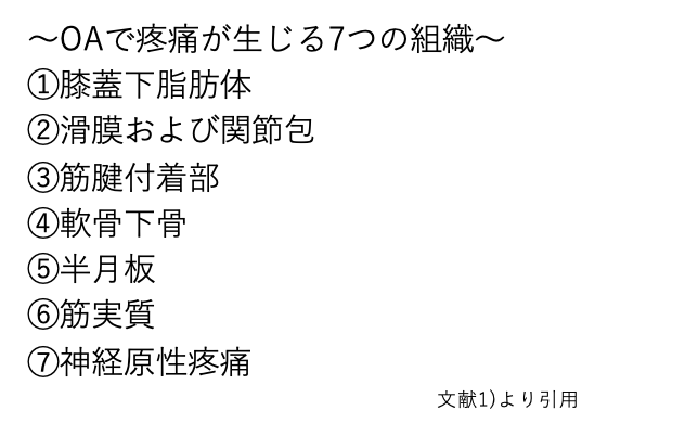 膝関節の疼痛 筋実質・神経 理学療法士・作業療法士・言語聴覚士の求人、セミナー情報なら【post】