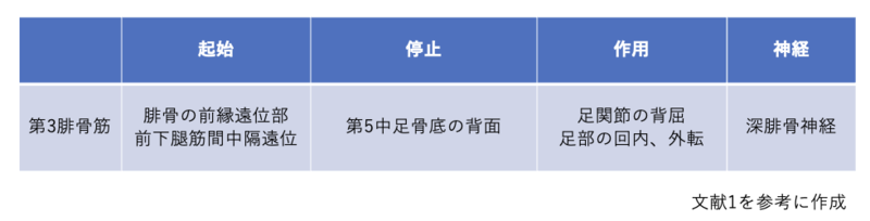 基礎医学シリーズ触診編―下腿前面― 理学療法士・作業療法士・言語聴覚士の求人、セミナー情報なら【post】
