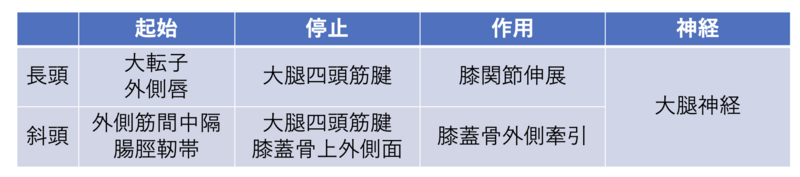 基礎医学シリーズ解剖学編―外側広筋― 理学療法士・作業療法士・言語聴覚士の求人、セミナー情報なら【post】