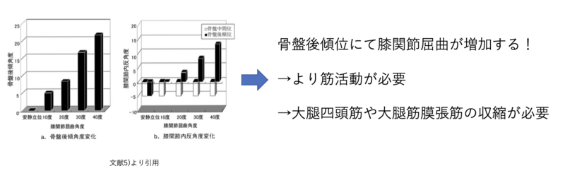 基礎医学シリーズ解剖学編―外側広筋― 理学療法士・作業療法士・言語聴覚士の求人、セミナー情報なら【post】