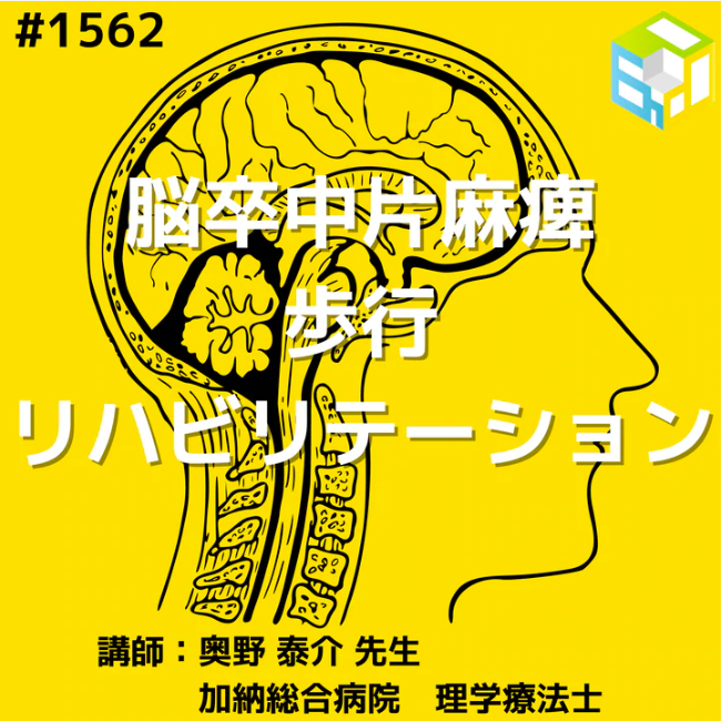 脳卒中片麻痺患者の歩行分析に必要な知識とリハビリテーション｜自立 理学療法士・作業療法士・言語聴覚士の求人、セミナー情報なら【post】
