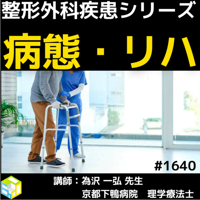 若手理学療法士向け整形外科疾患のリハビリ|半月板損傷の考え方とリ 理学療法士・作業療法士・言語聴覚士の求人、セミナー情報なら【post】