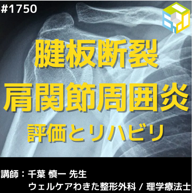 肩関節のリハビリテーション|肩関節周囲炎・腱板断裂に対するアプロ 理学療法士・作業療法士・言語聴覚士の求人、セミナー情報なら【post】