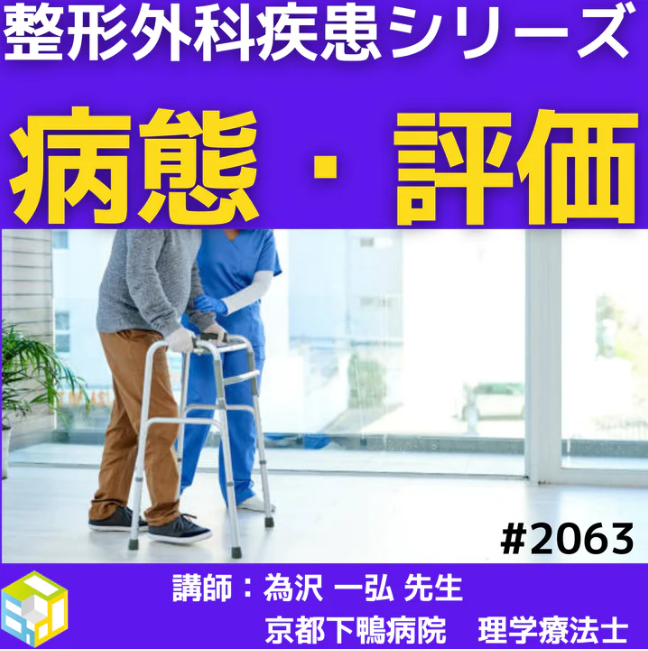 基礎から学ぶ股関節疾患の病態理解とリハビリテーション|股関節唇損 理学療法士・作業療法士・言語聴覚士の求人、セミナー情報なら【post】